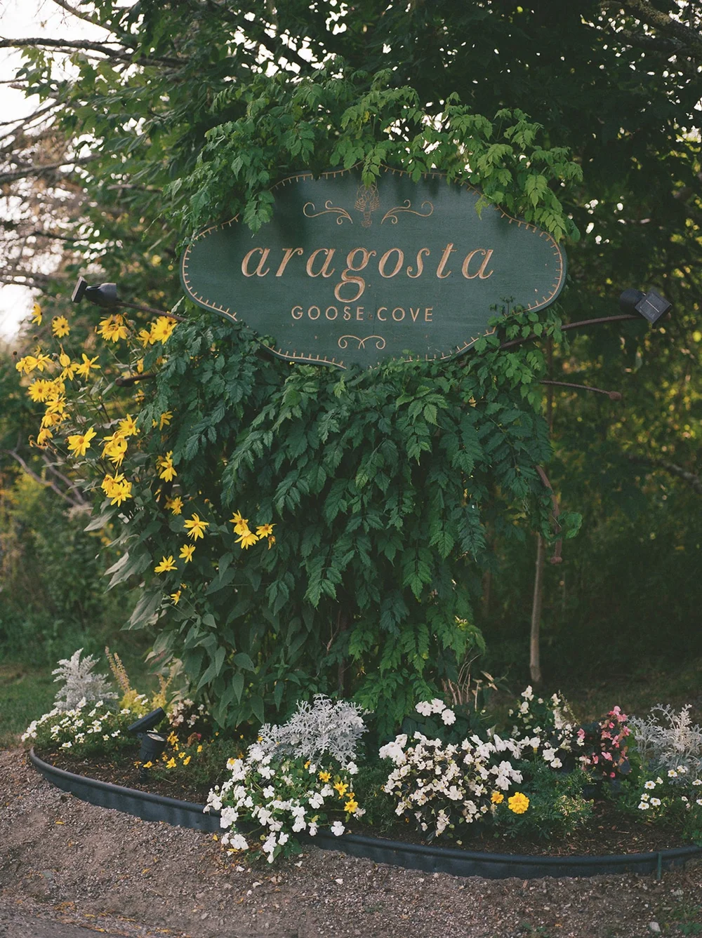 Emma & Jack’s Coastal Maine Wedding | Aragosta at Goose Cove with Beach ...