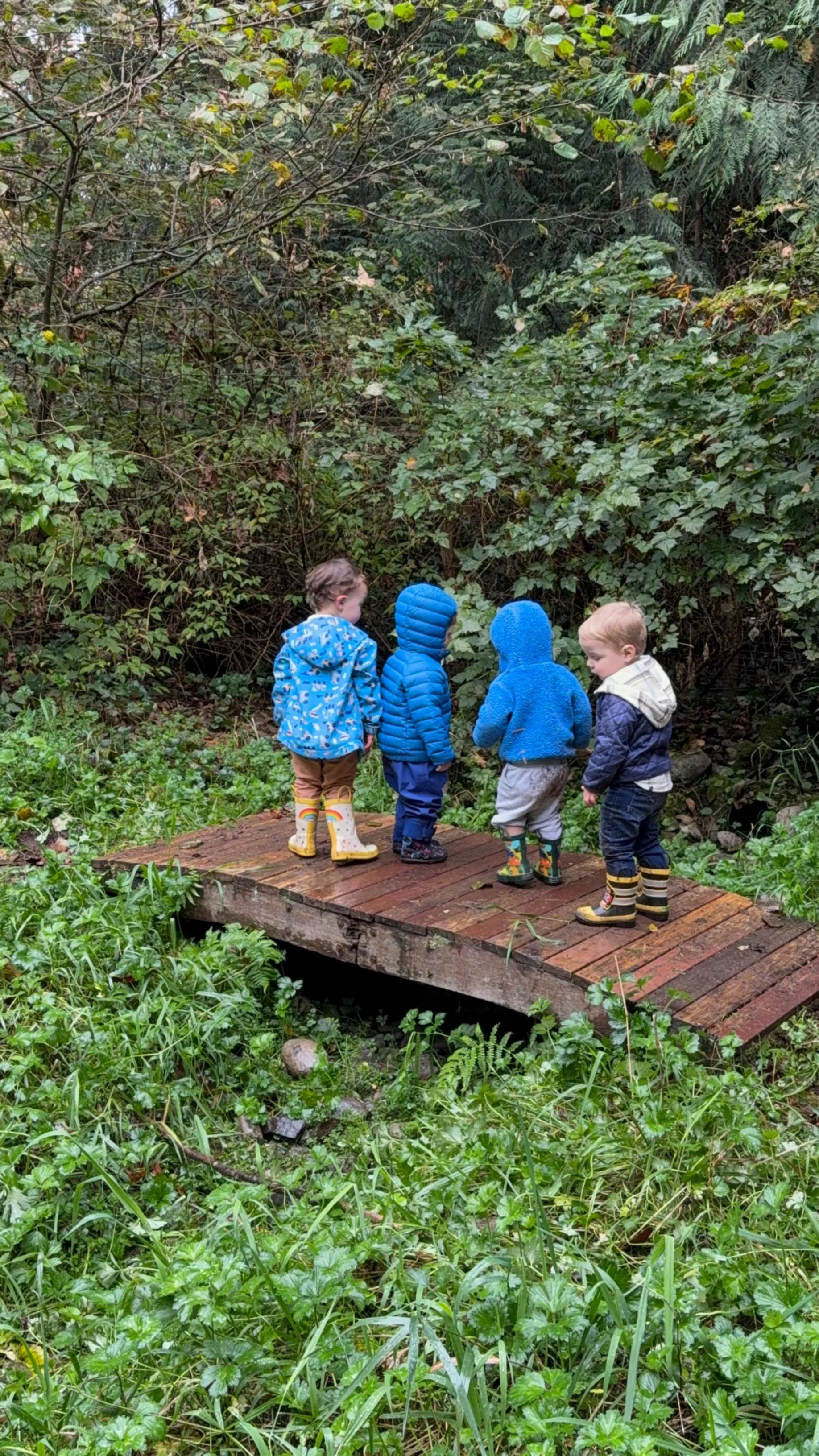 Open House — Montessori Children's House