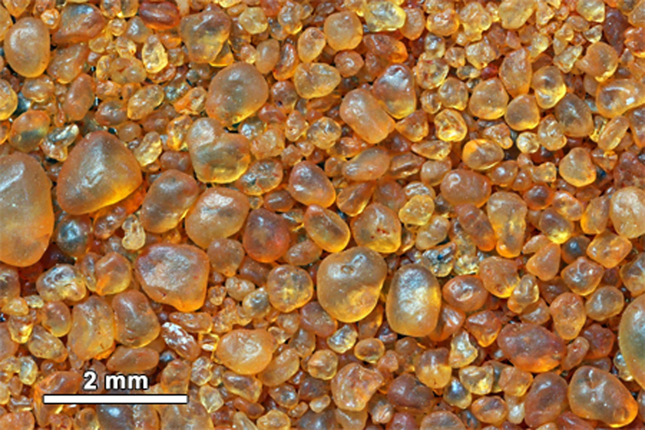 What is Sand? | Explore Sand's Wonders — International Sand Collectors ...