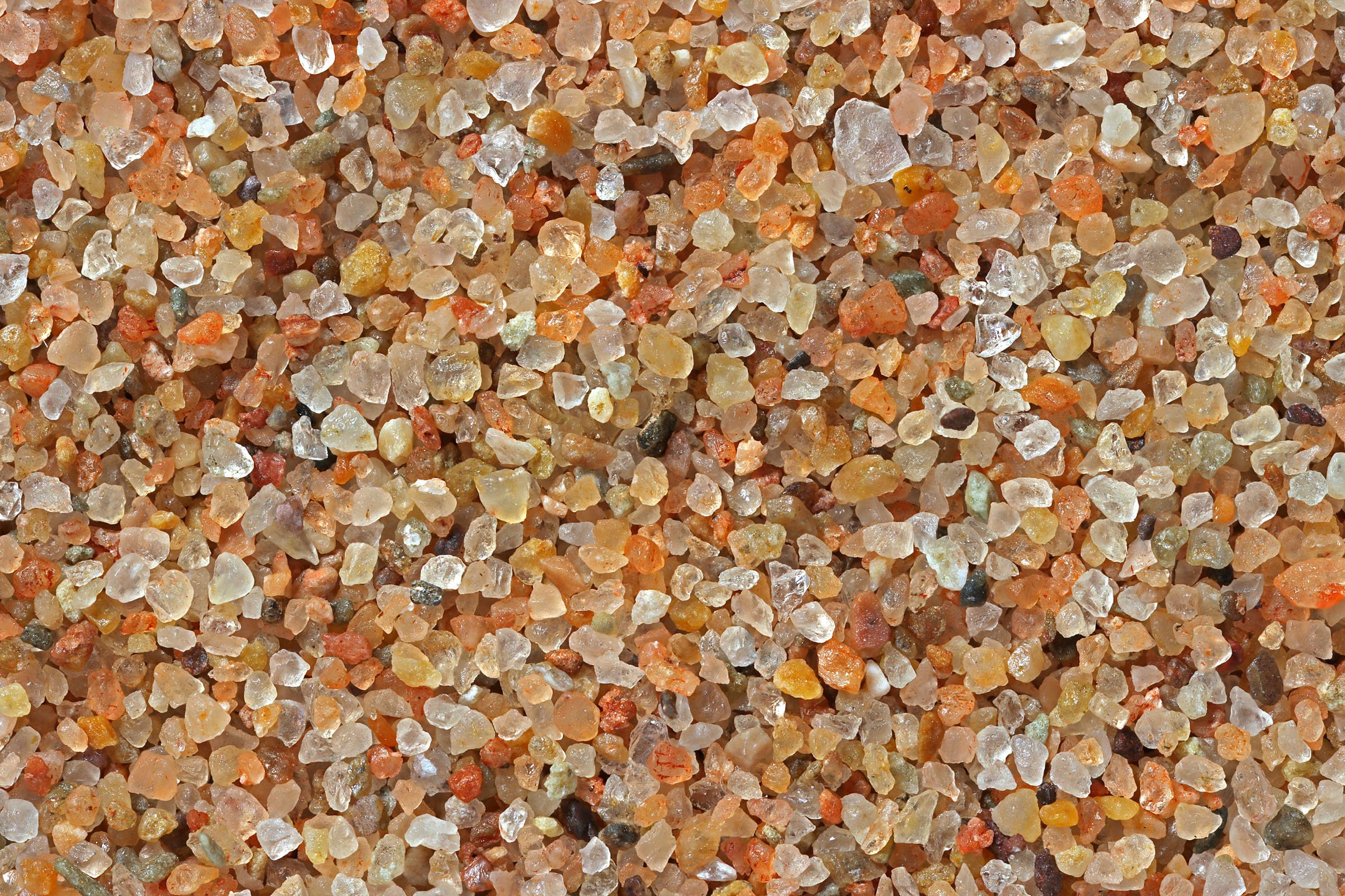 Who We Are | Join Our Community — International Sand Collectors Society
