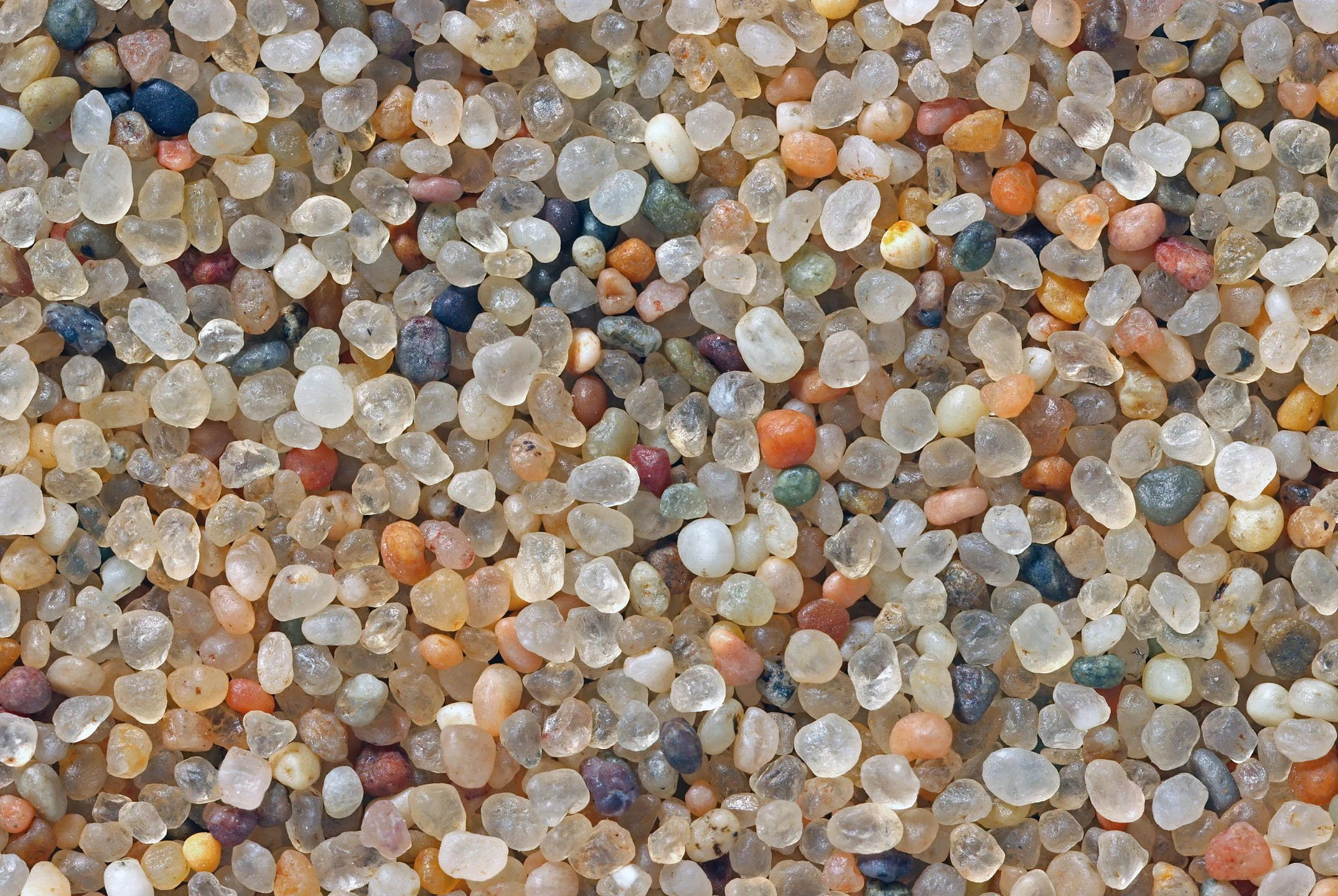 Splendid Sands — International Sand Collectors Society