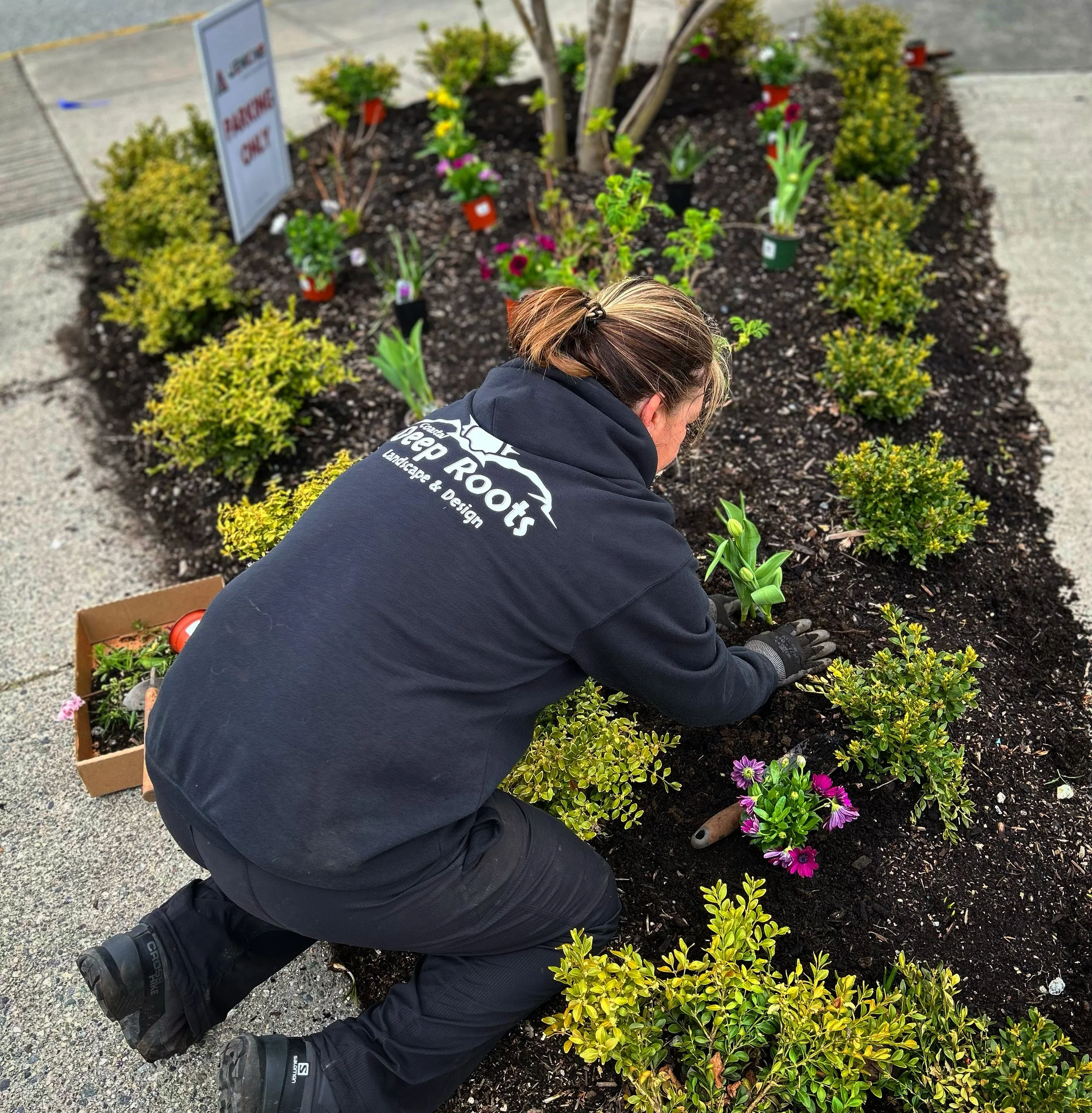 Services — Deep Roots Landscape & Design