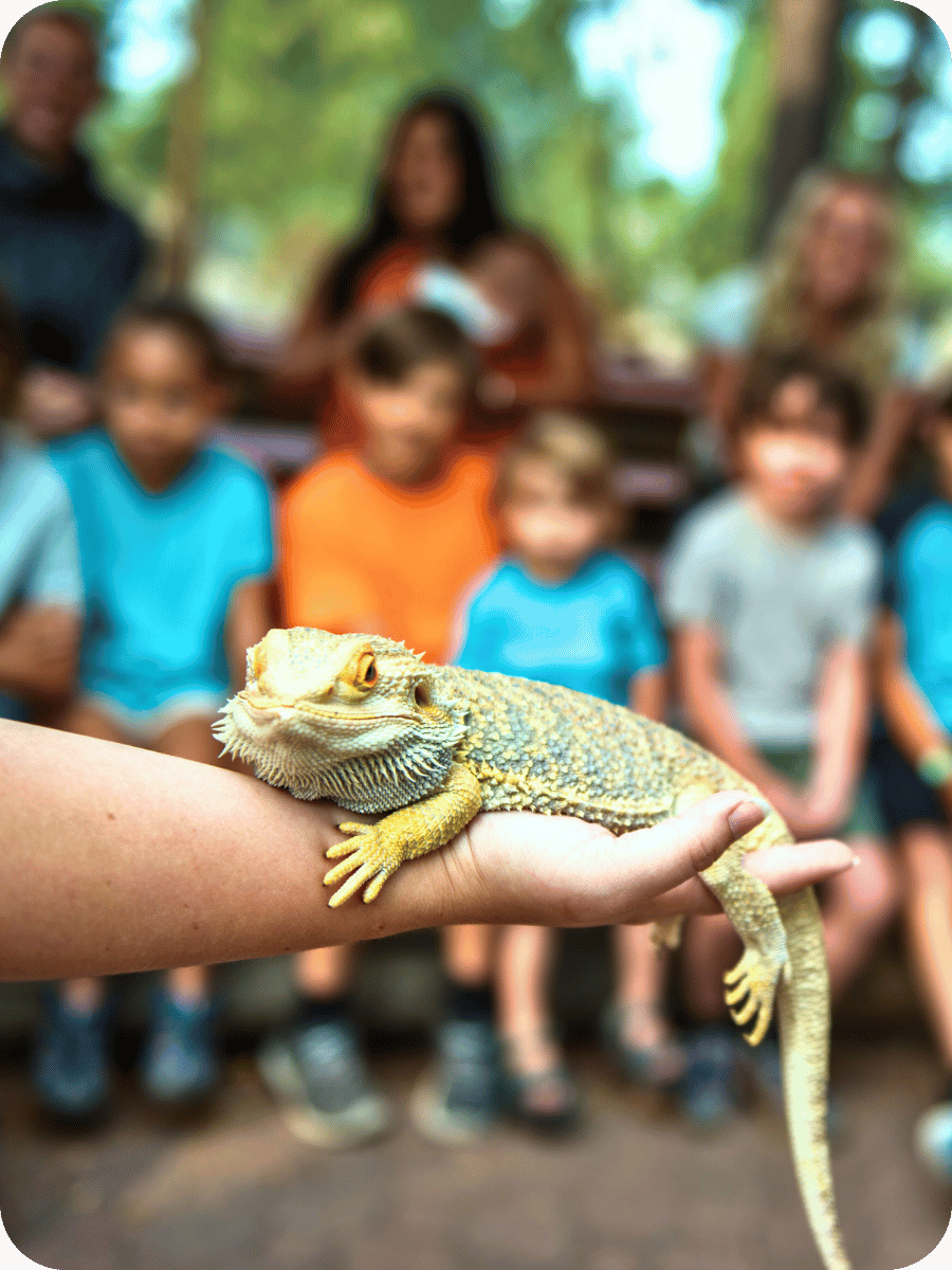 Sunriver Nature Center & Observatory | Explore nature, seek the stars!