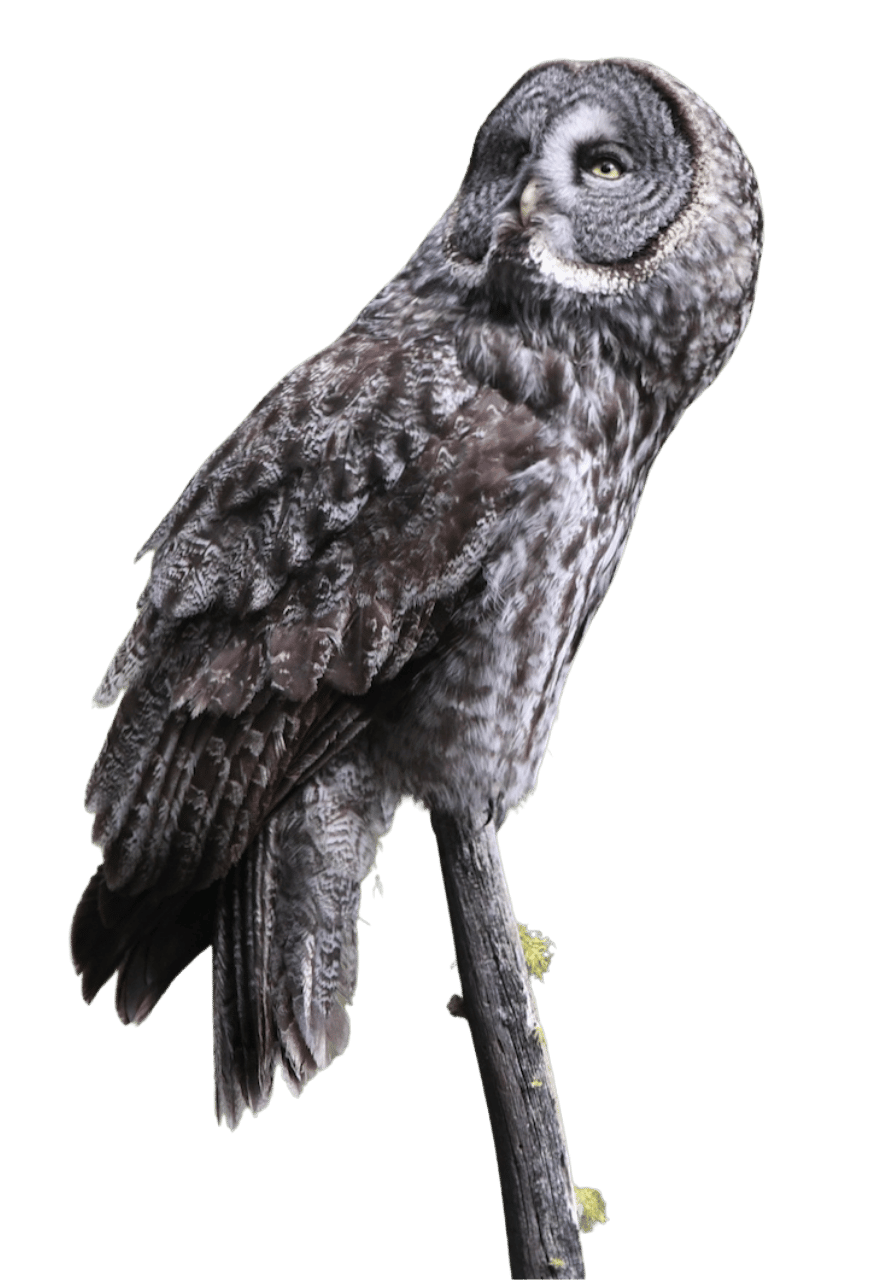 Sunriver Nature Center & Observatory | Explore nature, seek the stars!