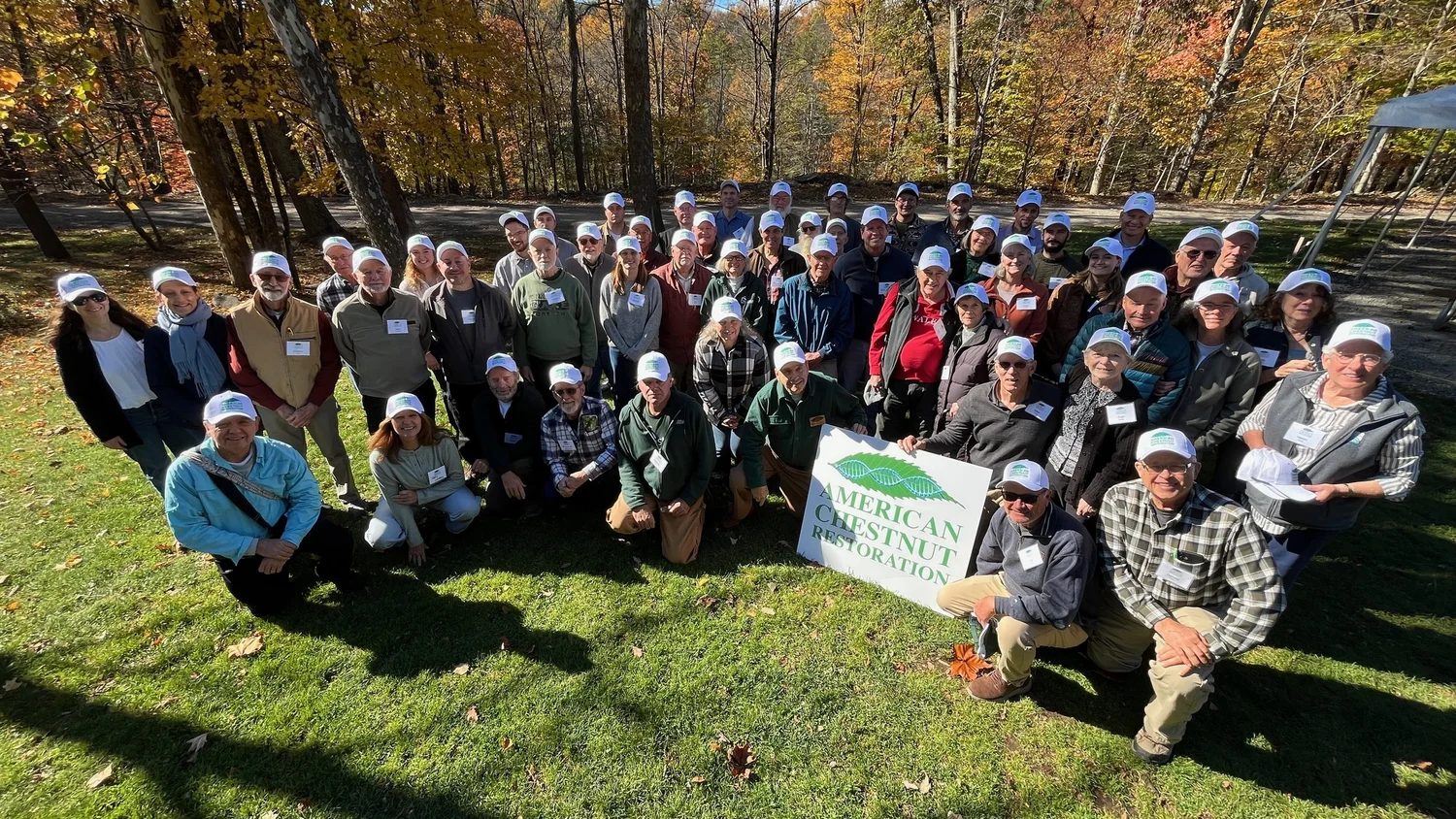American Chestnut Restoration | Restore Our Forests