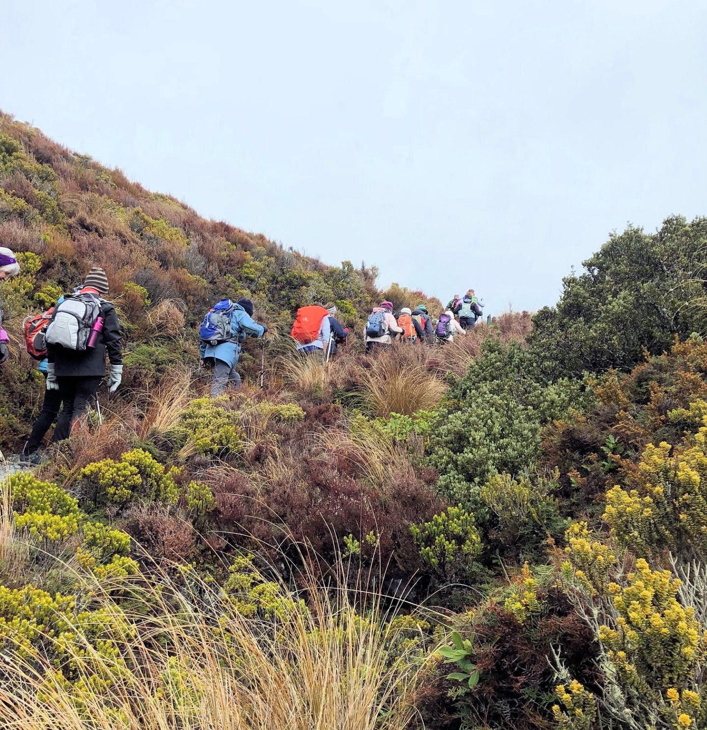 The gift that keeps on giving — Taupō & Tūrangi News | Local Central ...