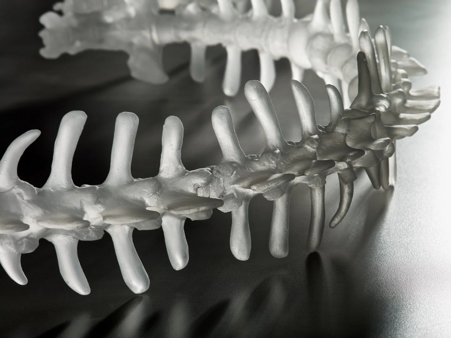 Potential Infinity — KATYA IZABEL FILMUS