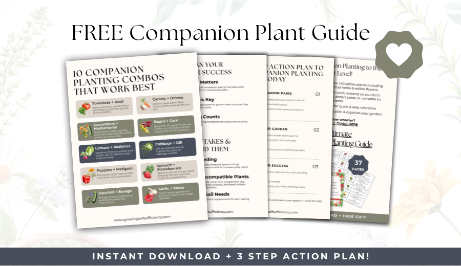 10 Companion Planting Combos That Work Best For Organic Gardening ...