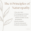 The 6 Naturopathic Principles — The Friendly Naturopath