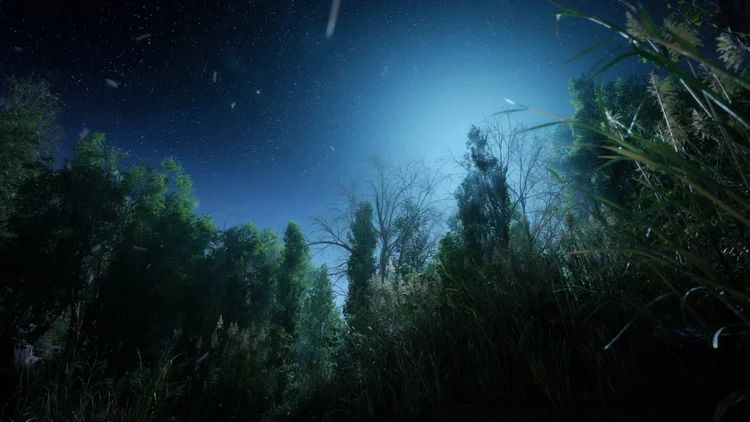 Unreal engine 5 documentation — Easy Biomes