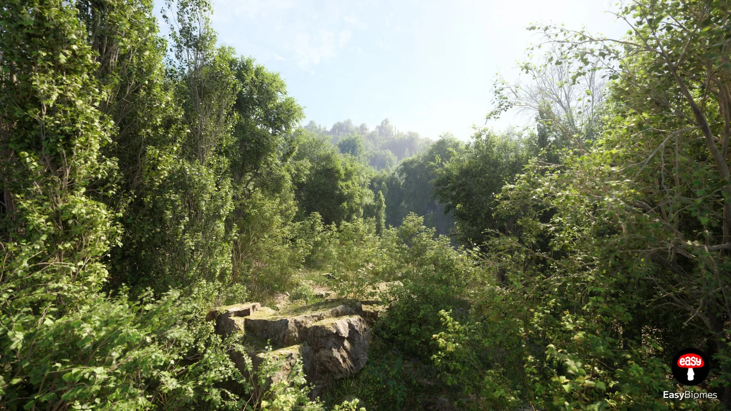 Unreal Engine 5 | Easy Biomes