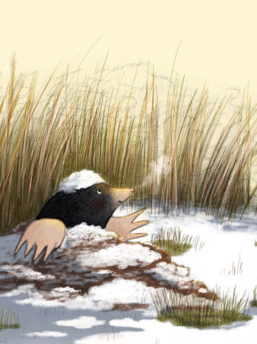 Gallery 2 — Sara Rhys