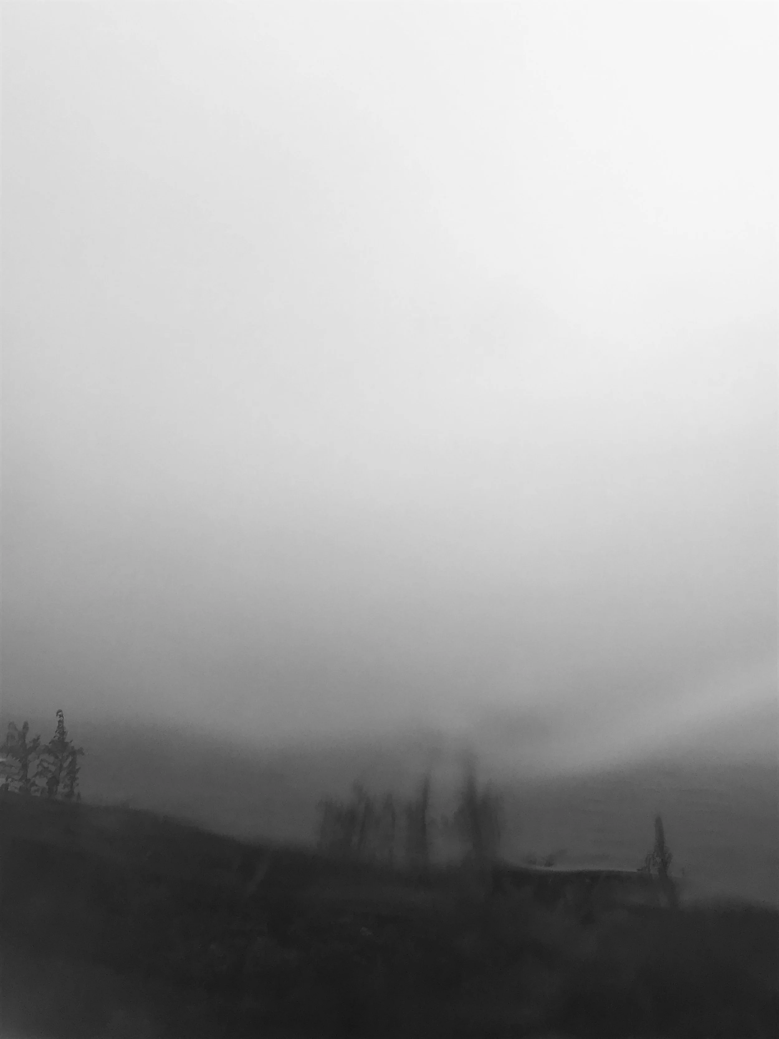 denise deVore photography