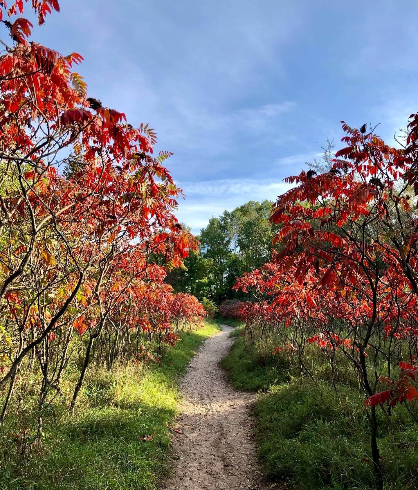 Explore — The Village at Grand Traverse Commons