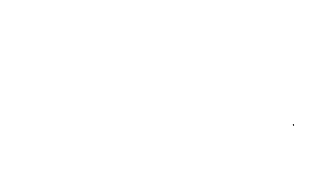 Afro Latino Education & Arts Collective | Explore & Engage Today