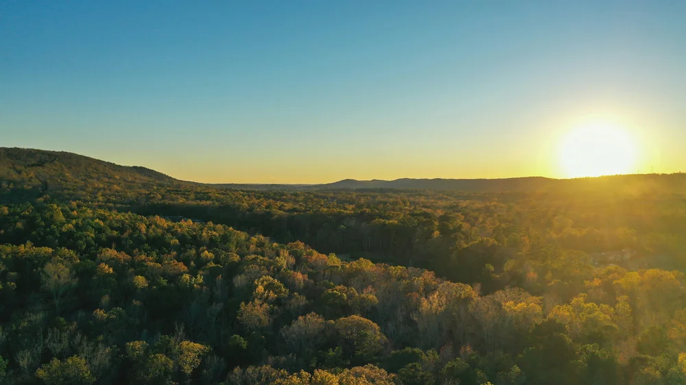 Conservation Alabama