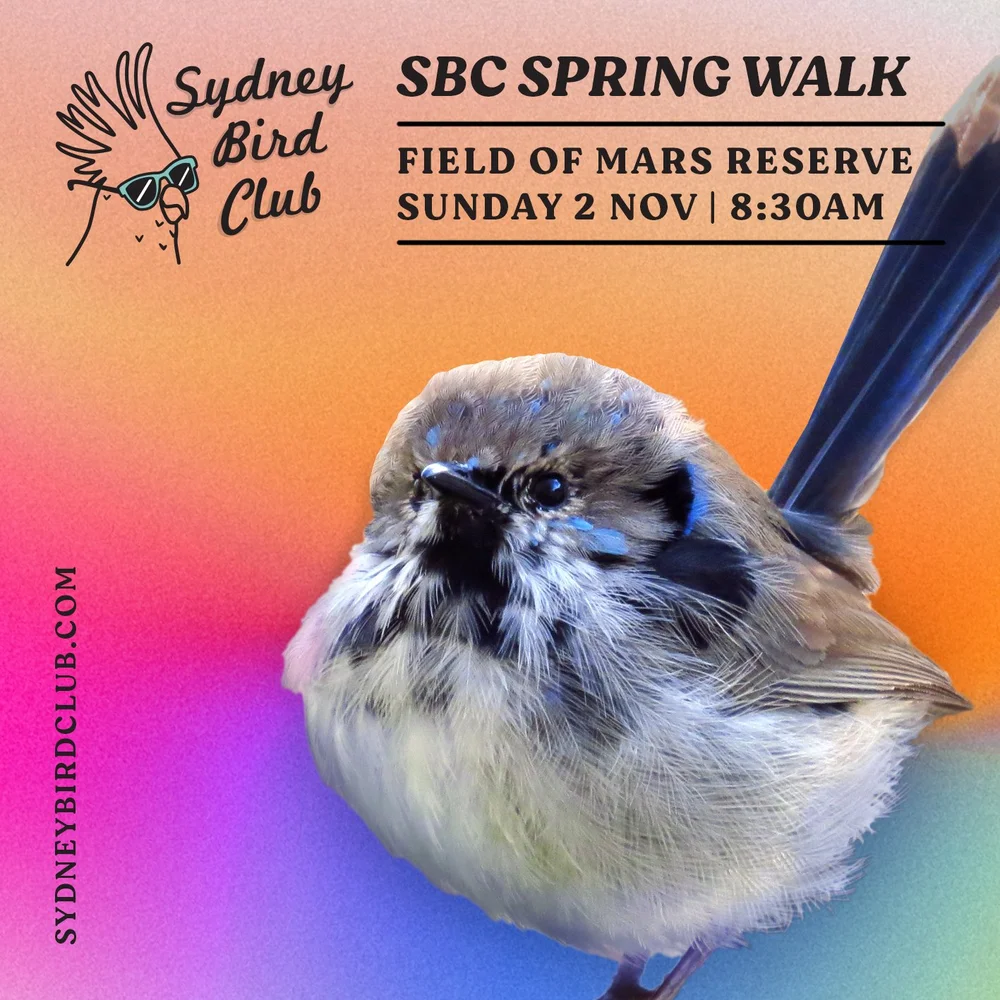 Bird Walks and Events — Sydney Bird Club