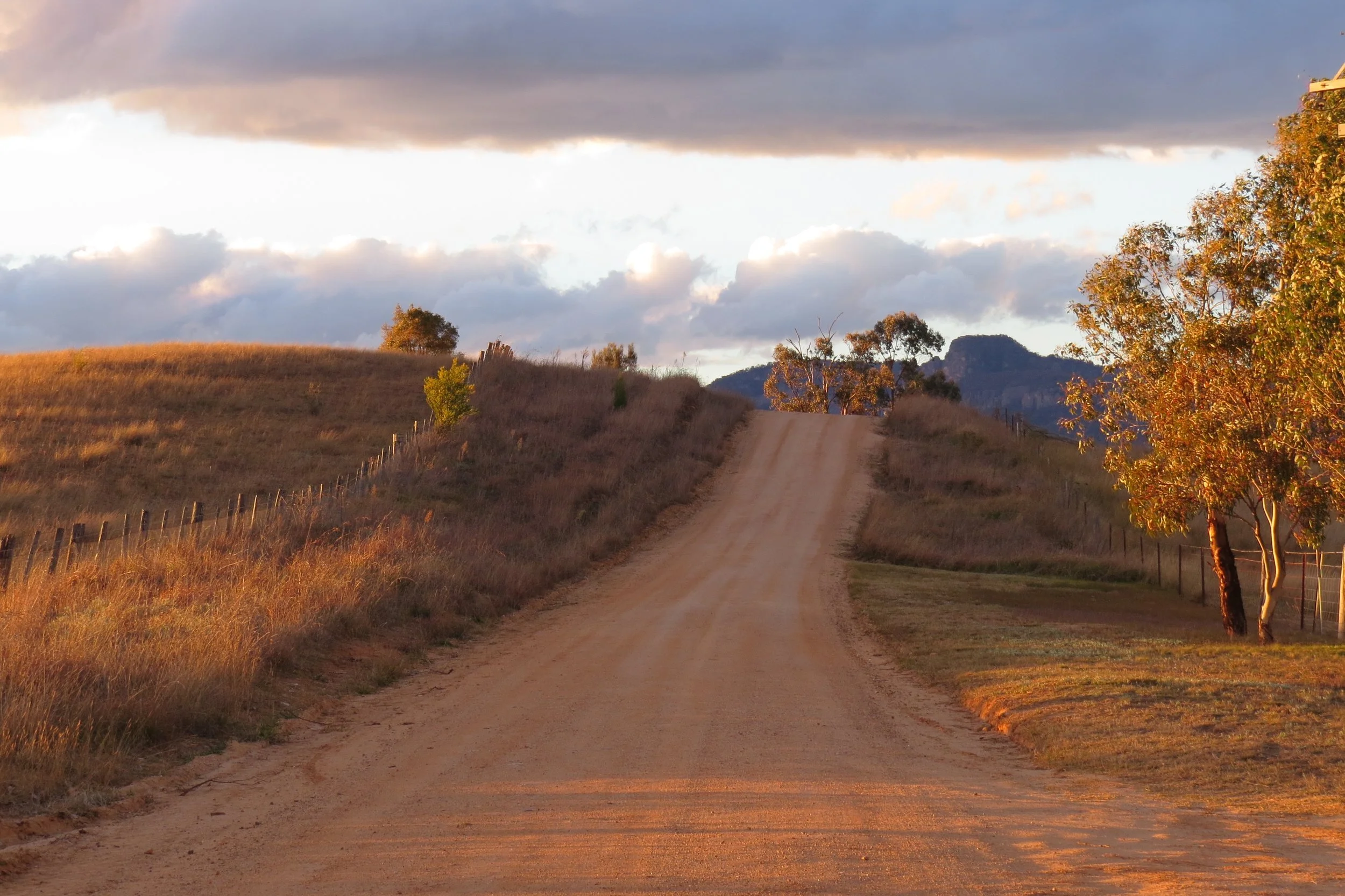 Birdwatching in Capertee Valley - Overview and Preparation — Sydney ...