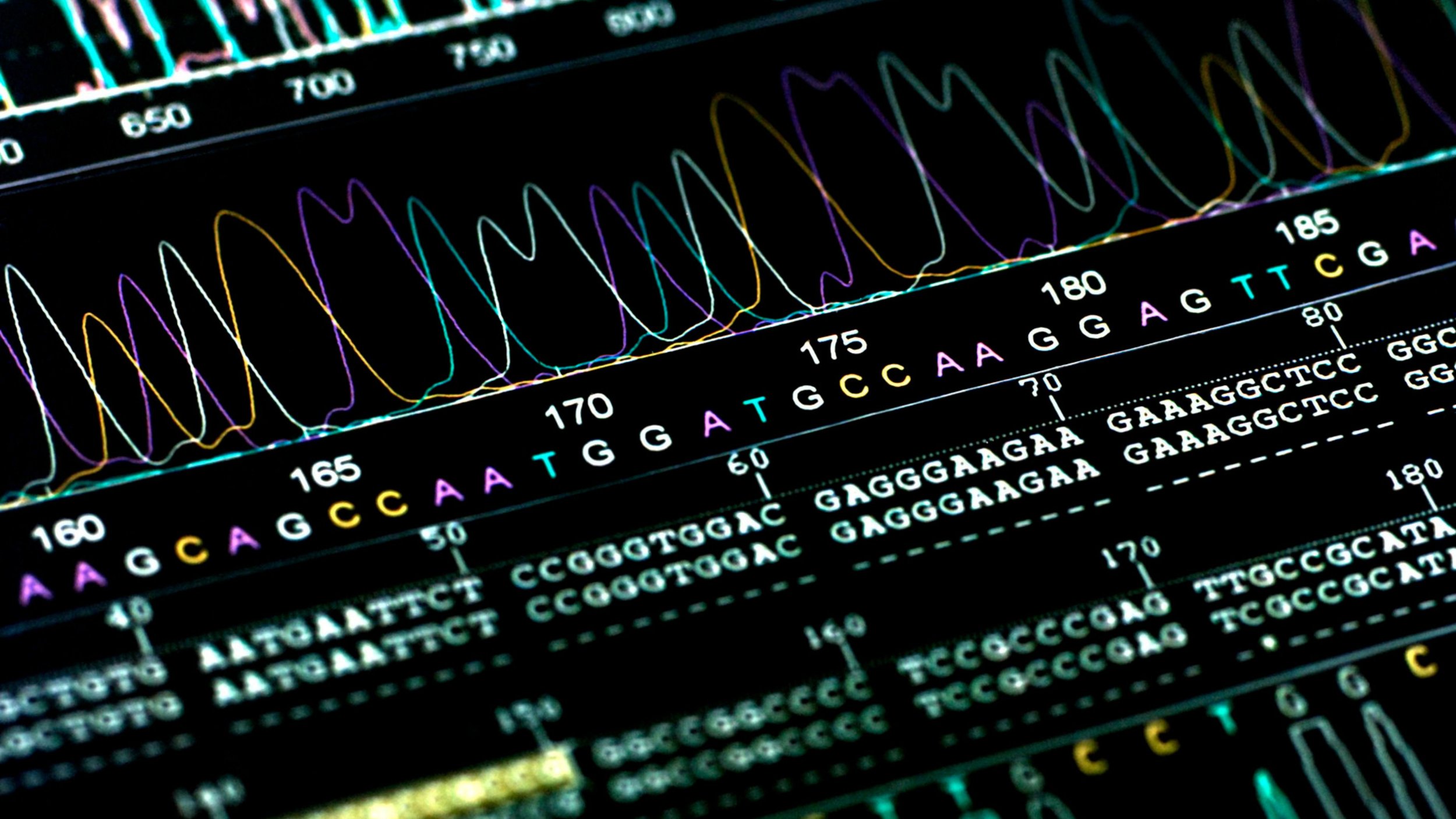 Sisters' Hope Foundation ALSP — ALSP Genetic Testing