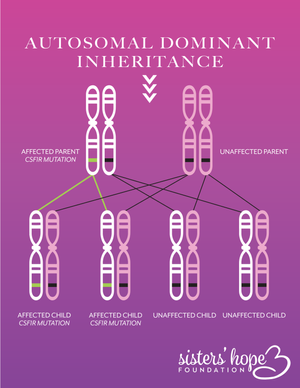 Sisters' Hope Foundation ALSP — ALSP Symptoms and Causes