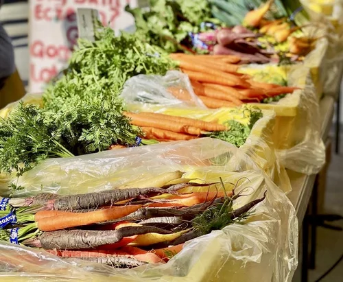 Blue Sky Organic Farms | Shop Local, Eat Fresh