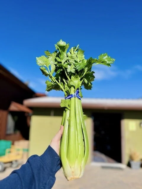 Blue Sky Organic Farms | Shop Local, Eat Fresh