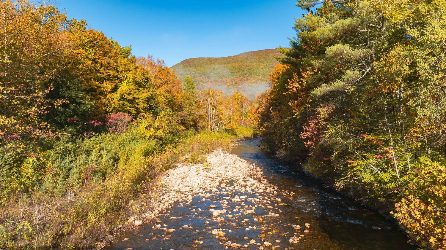 Battenkill River Fishing Report | Conditions, Hatches & Flies ...
