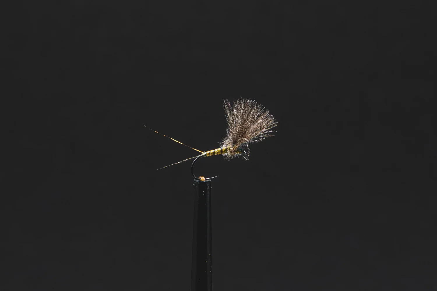 Battenkill River Fishing Report | Conditions, Hatches & Flies ...