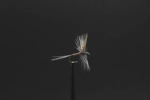 Battenkill River Fishing Report | Conditions, Hatches & Flies ...