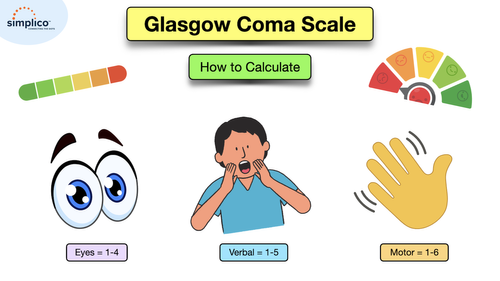 Glasgow Coma Scale (GCS): How to Calculate a Score; Charts and ...
