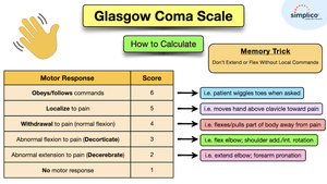 Glasgow Coma Scale (GCS): How to Calculate a Score; Charts and ...