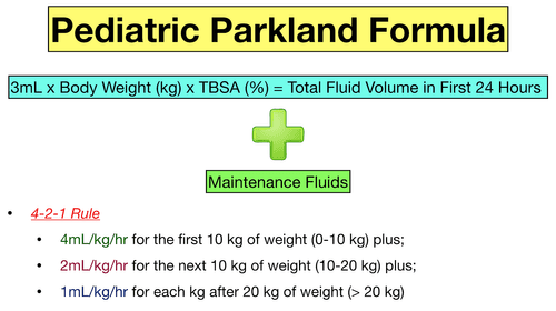 Parkland Formula for Burns: Pediatric and Adult Examples, Calculator ...