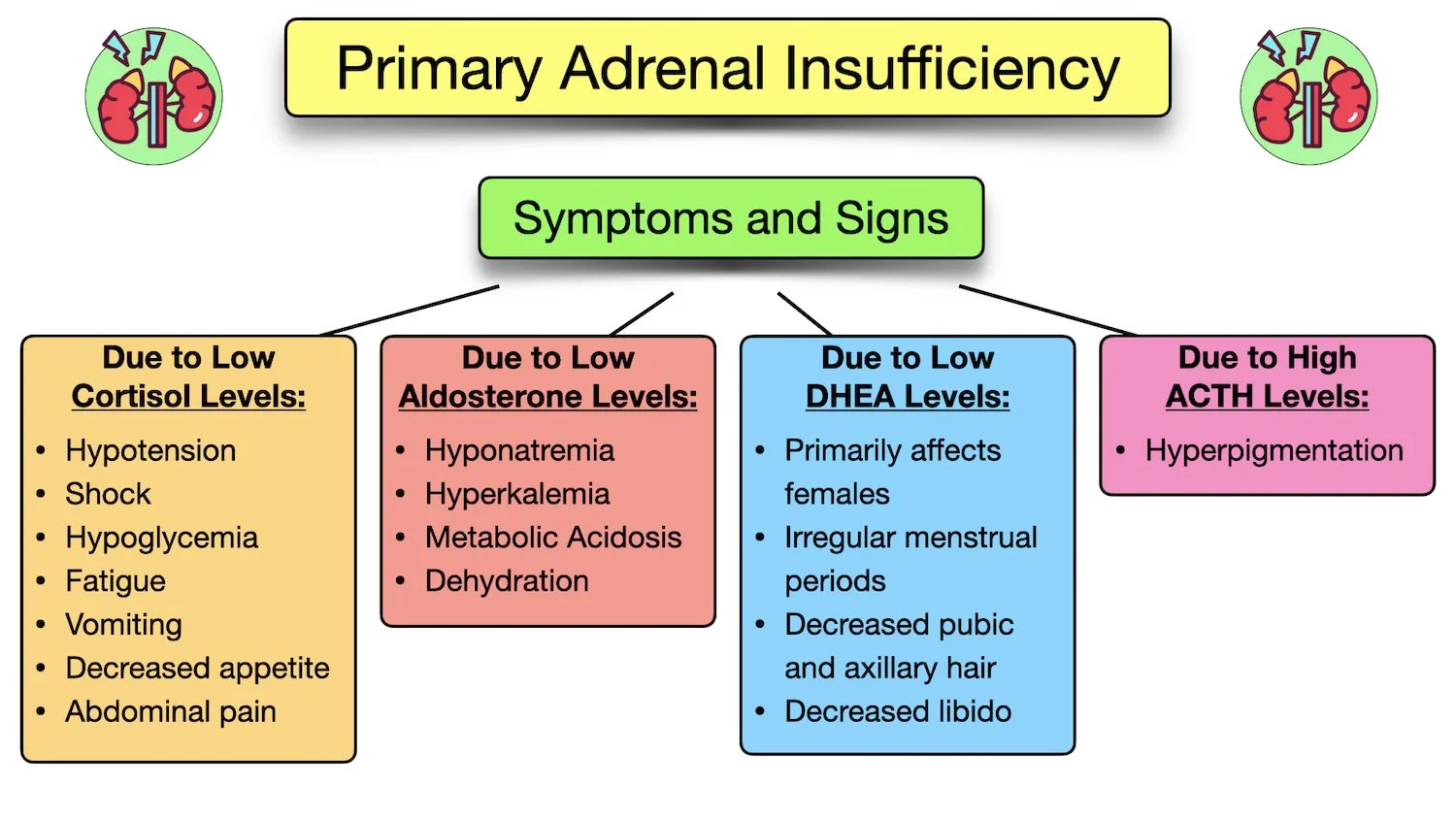 Adrenal Insufficiency: Symptoms, Causes, Treatment, Diagnosis, Labs ...