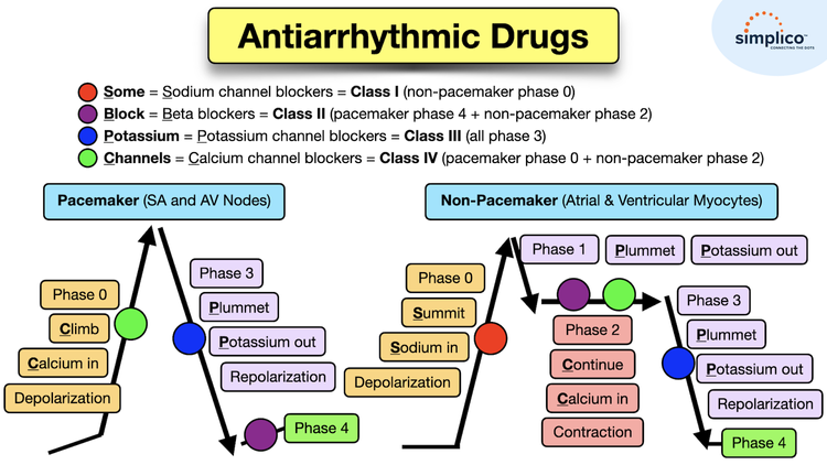 Antiarrhythmic Drugs | List of Medication Classes and Examples — Simplico