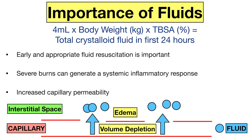 Parkland Formula for Burns: Pediatric and Adult Examples, Calculator ...