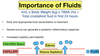 Parkland Formula for Burns: Pediatric and Adult Examples, Calculator ...