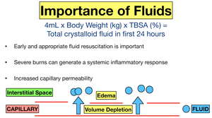 Parkland Formula for Burns: Pediatric and Adult Examples, Calculator ...