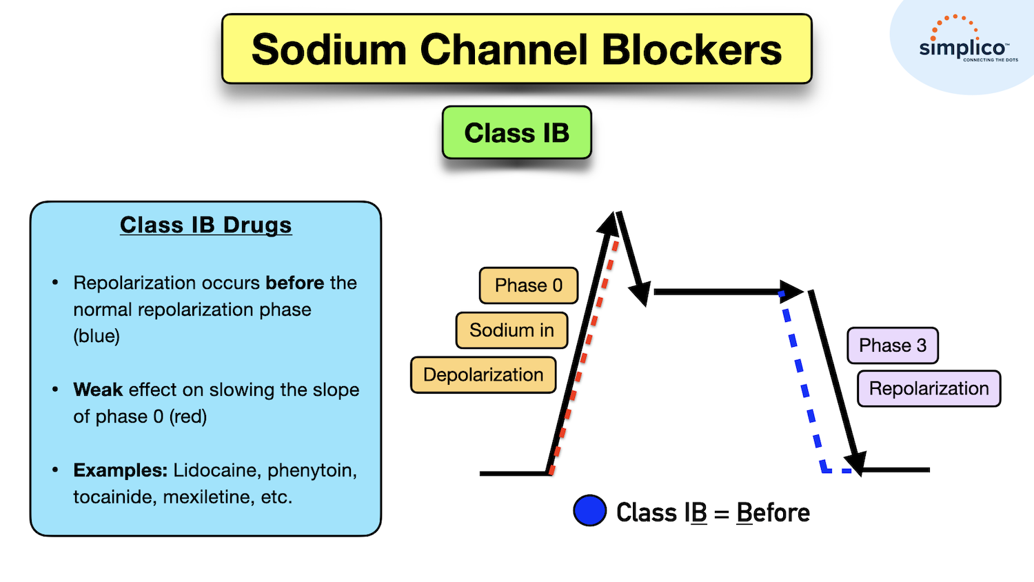 Sodium Channel Blockers | Drug List, Examples, Mechanism of Action ...