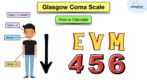 Glasgow Coma Scale (GCS): How to Calculate a Score; Charts and ...