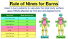 Rule of Nines for Burns: Child and Adult Chart, Calculator, Definition ...