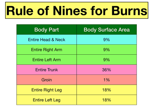 Rule of Nines for Burns: Child and Adult Chart, Calculator, Definition ...