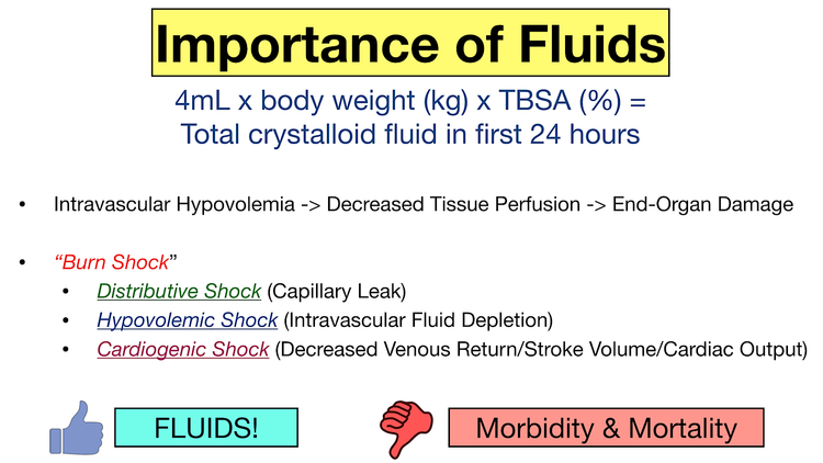 Parkland Formula for Burns: Pediatric and Adult Examples, Calculator ...