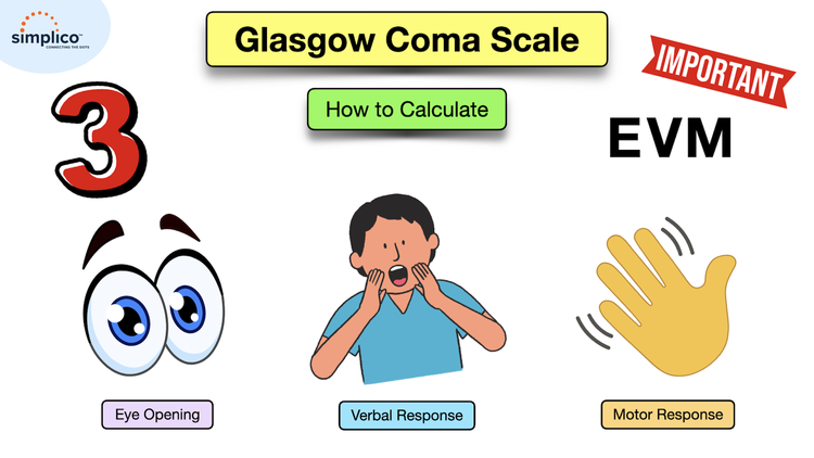 Glasgow Coma Scale (GCS): How to Calculate a Score; Charts and ...