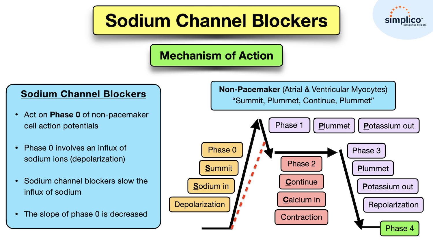 Sodium Channel Blockers | Drug List, Examples, Mechanism of Action ...