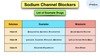 Sodium Channel Blockers | Drug List, Examples, Mechanism of Action ...
