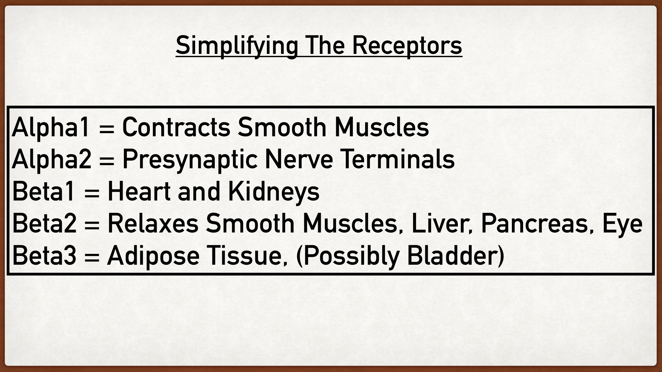 Alpha Adrenergic Receptors: Types, Function, Location, and Stimulation ...