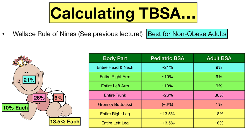 Parkland Formula for Burns: Pediatric and Adult Examples, Calculator ...