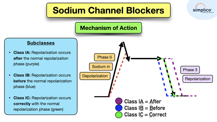 Sodium Channel Blockers | Drug List, Examples, Mechanism of Action ...