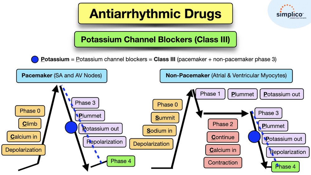 Antiarrhythmic Drugs | List of Medication Classes and Examples — Simplico