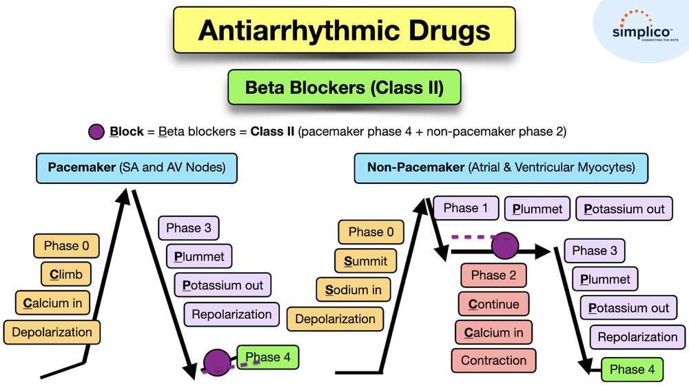 Antiarrhythmic Drugs | List of Medication Classes and Examples — Simplico